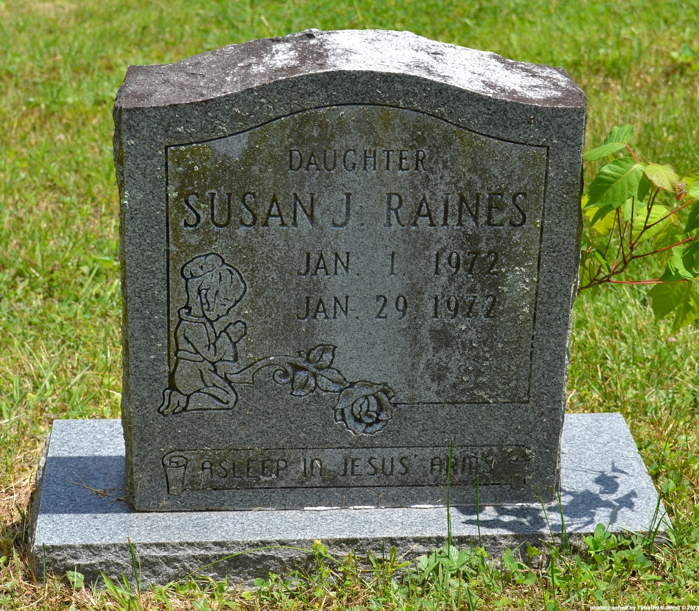 Scott Co, TN - Burial Information