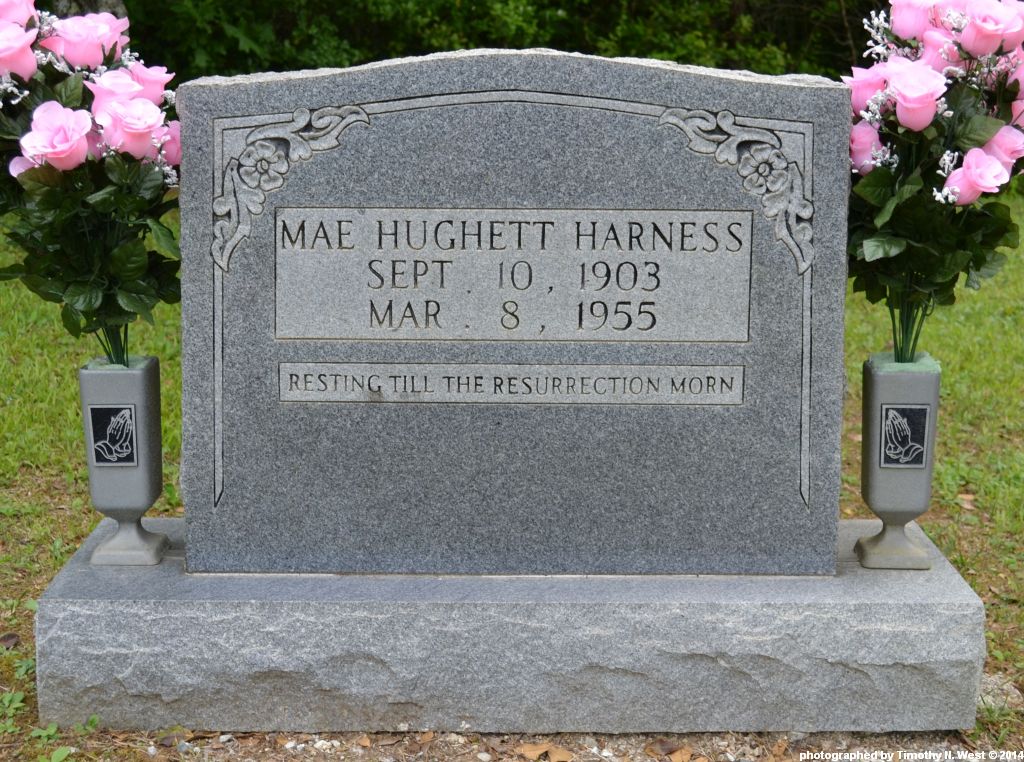 Scott Co, TN - Burial Information