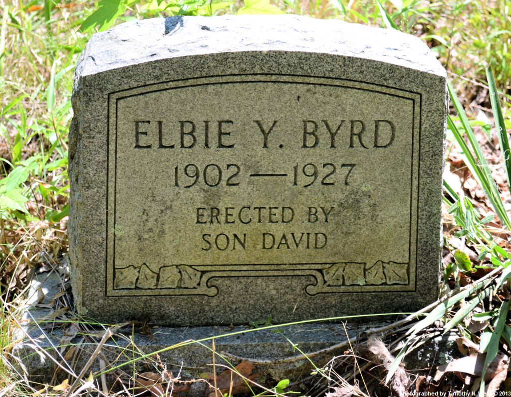 Scott Co, TN - Burial Information