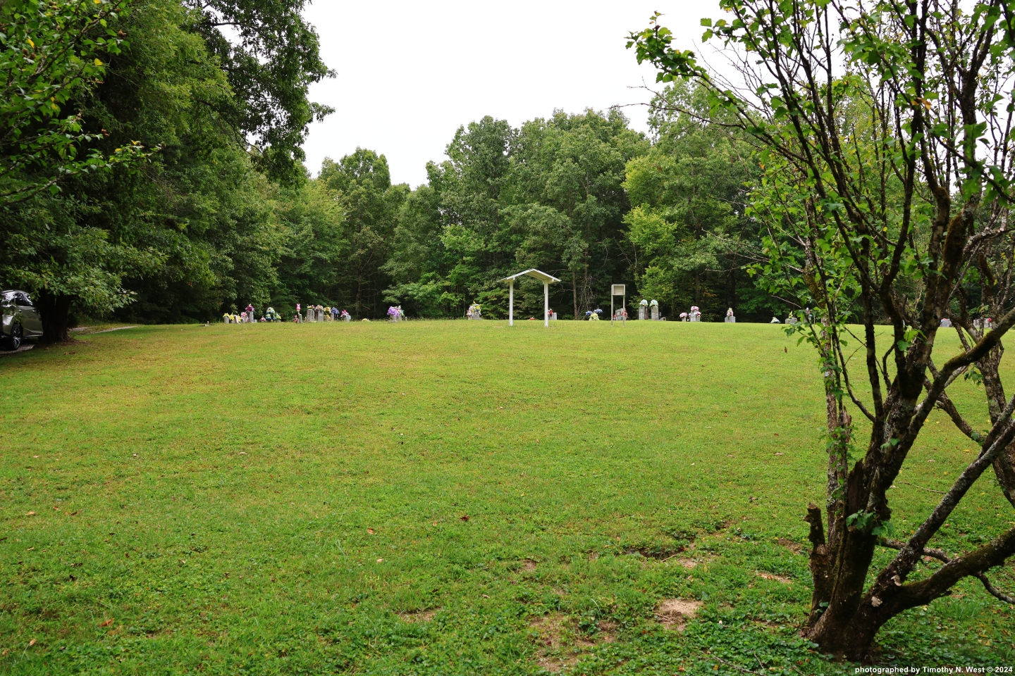 Scott Co, TN - Cook Cemetery at Winona