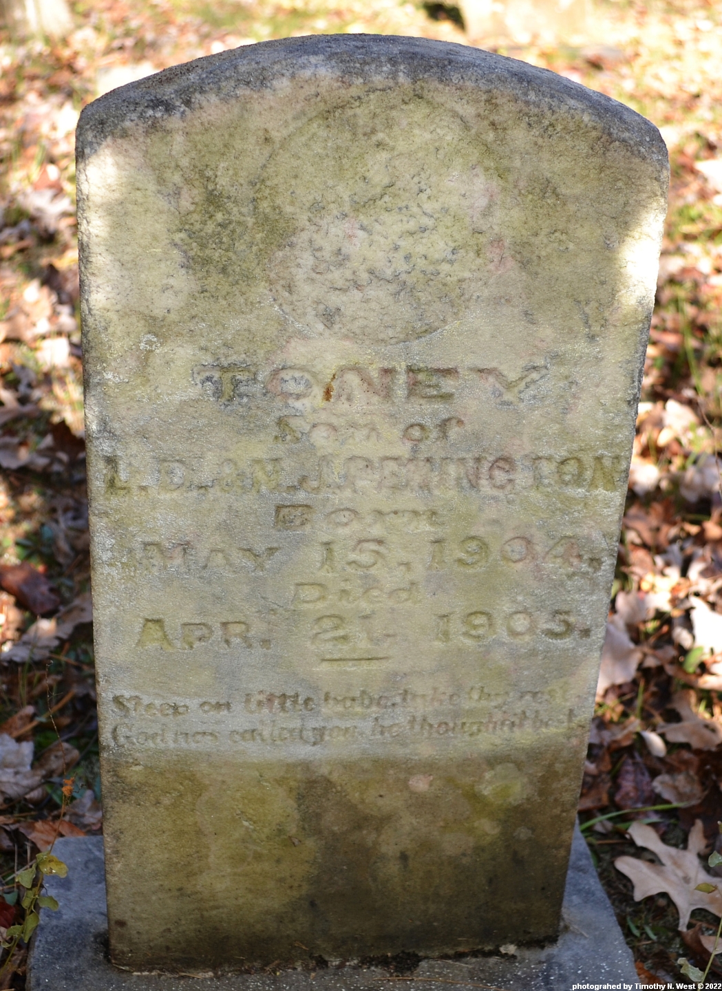 Scott Co, TN - Burial Information