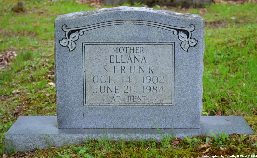 Scott Co, TN - Burial Information