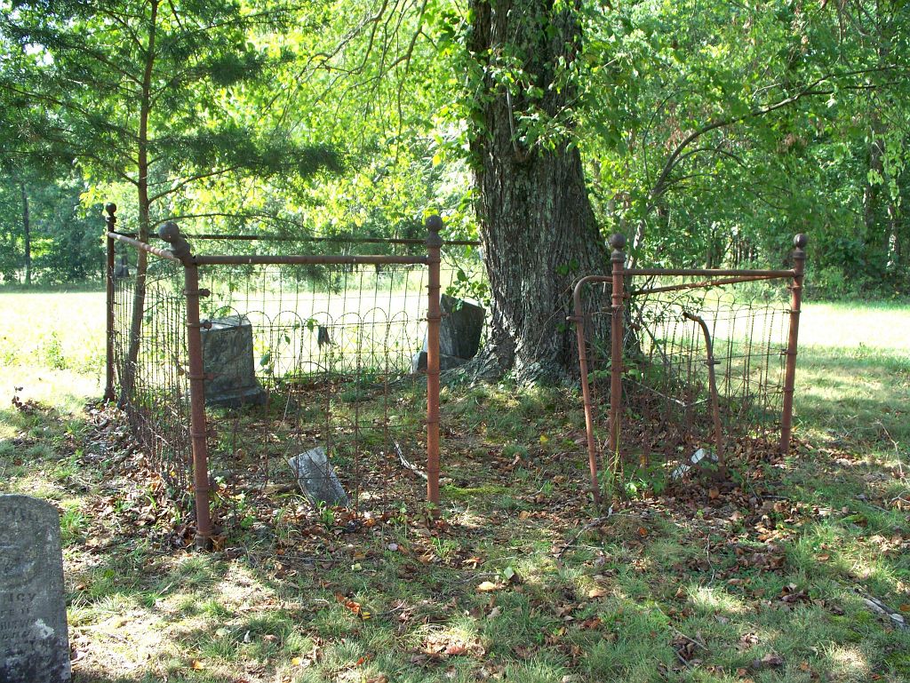 Scott Co, TN - Davis Cemetery at Alderville