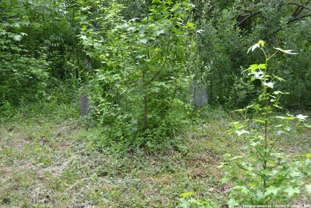 Scott Co, TN - Dawn Cemetery at Elgin