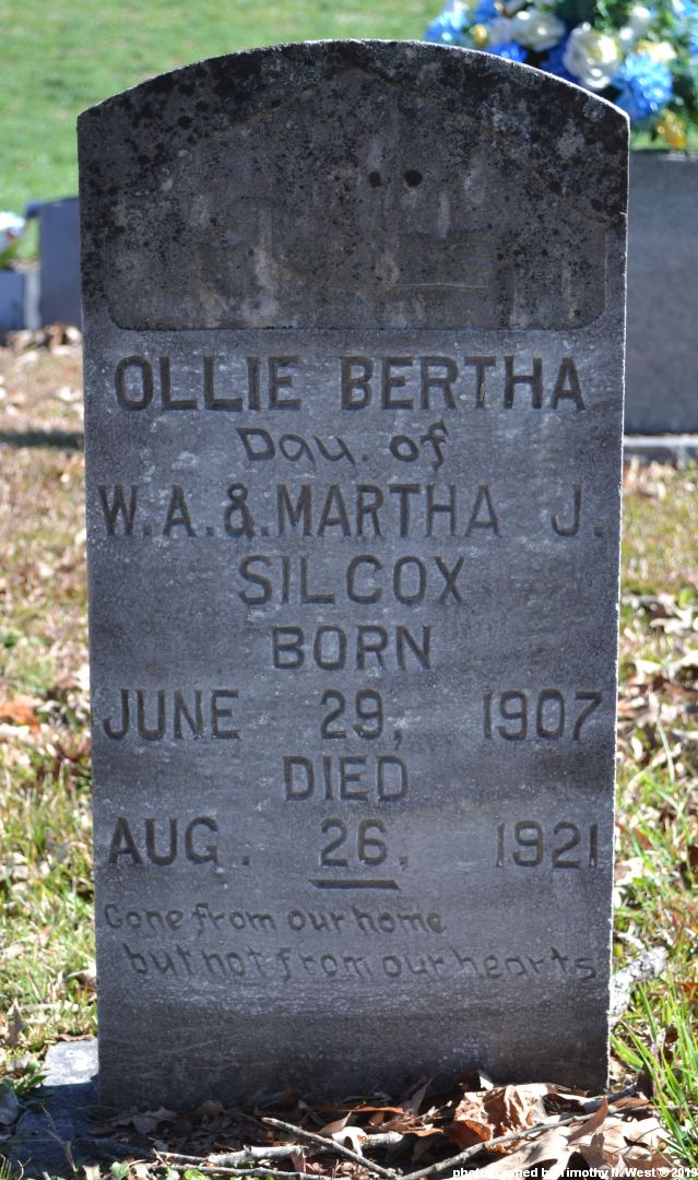 Scott Co, TN - Burial Information