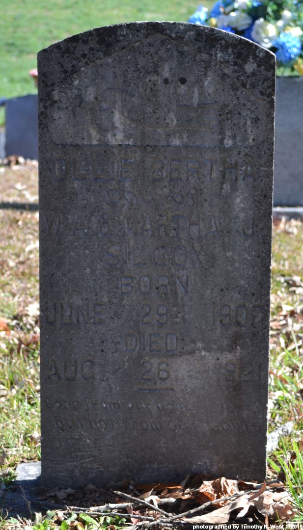 Scott Co, TN - Burial Information