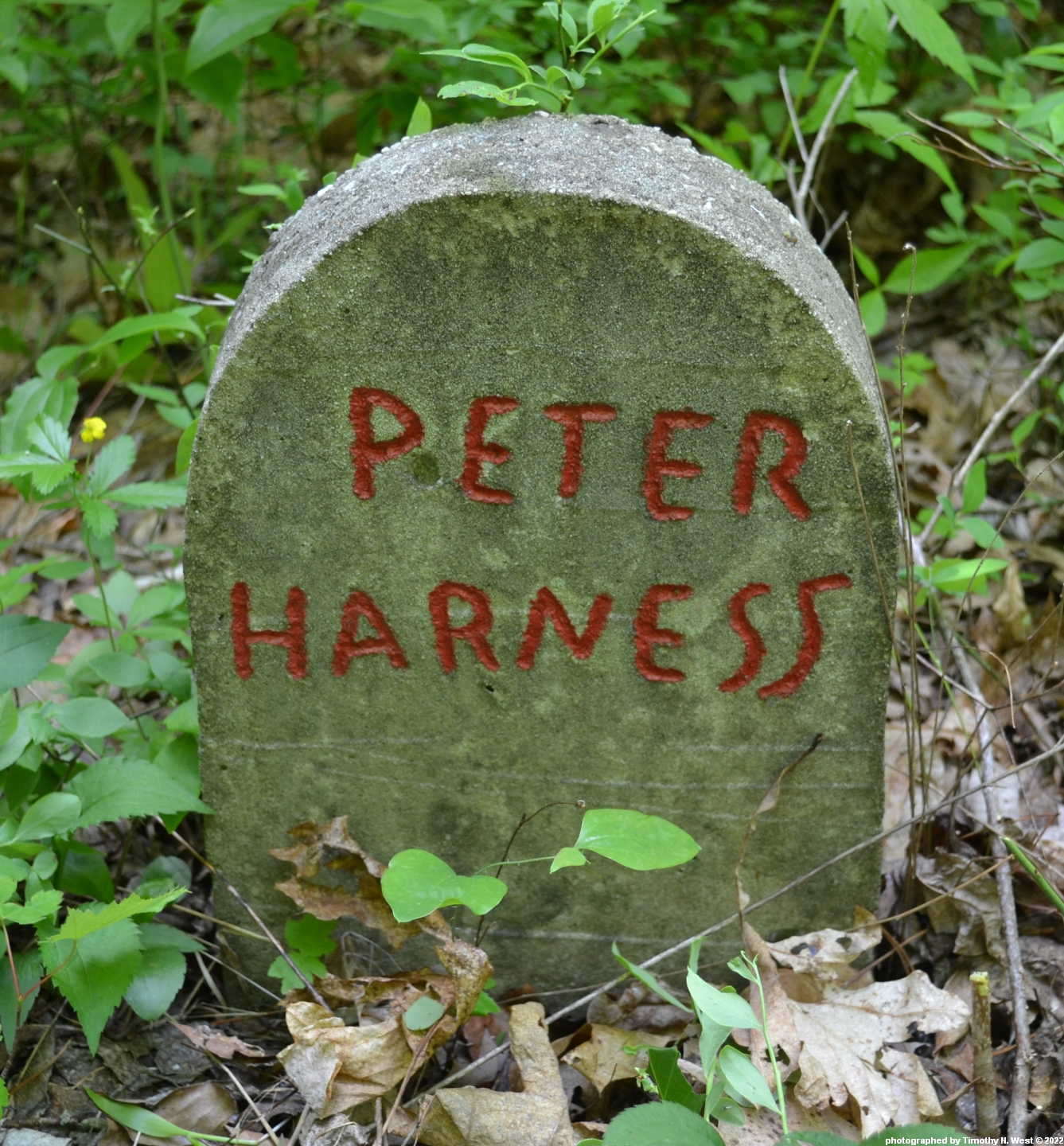 Scott Co, TN - Burial Information