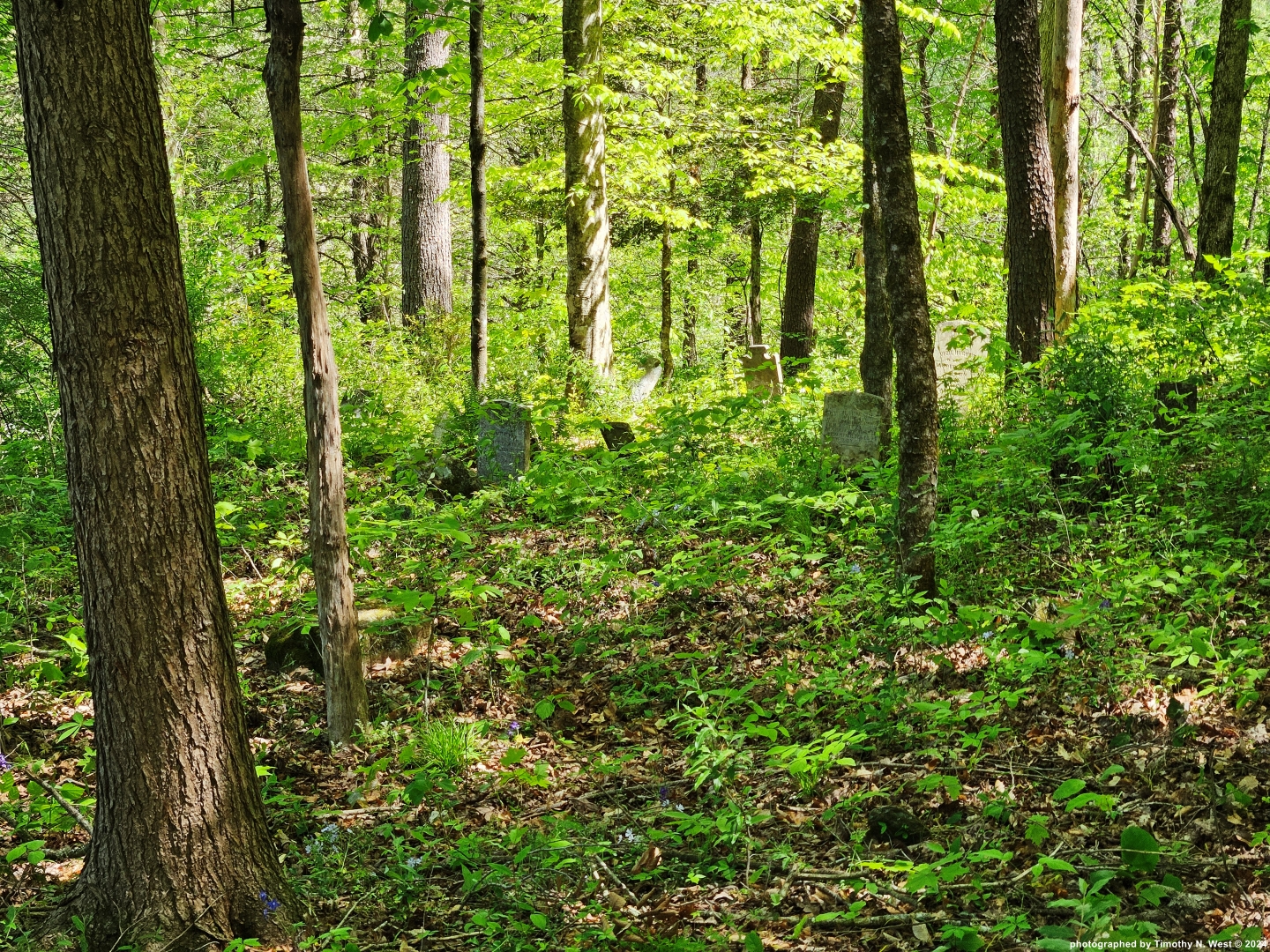 Scott Co, TN - Hughett Cemetery at Brimstone