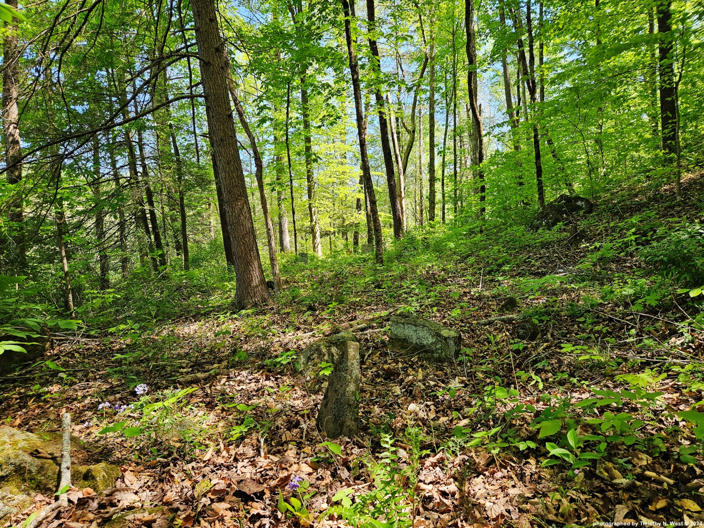 Scott Co, TN - Hughett Cemetery at Brimstone