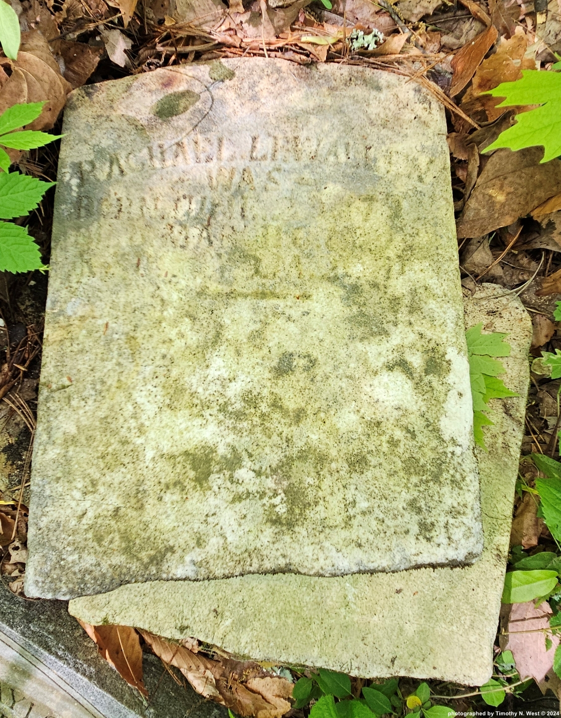 Scott Co, TN - Burial Information