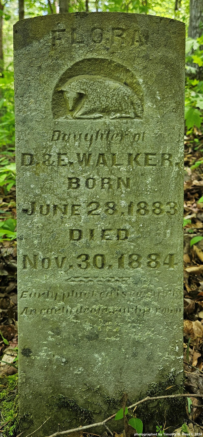 Scott Co, TN - Burial Information