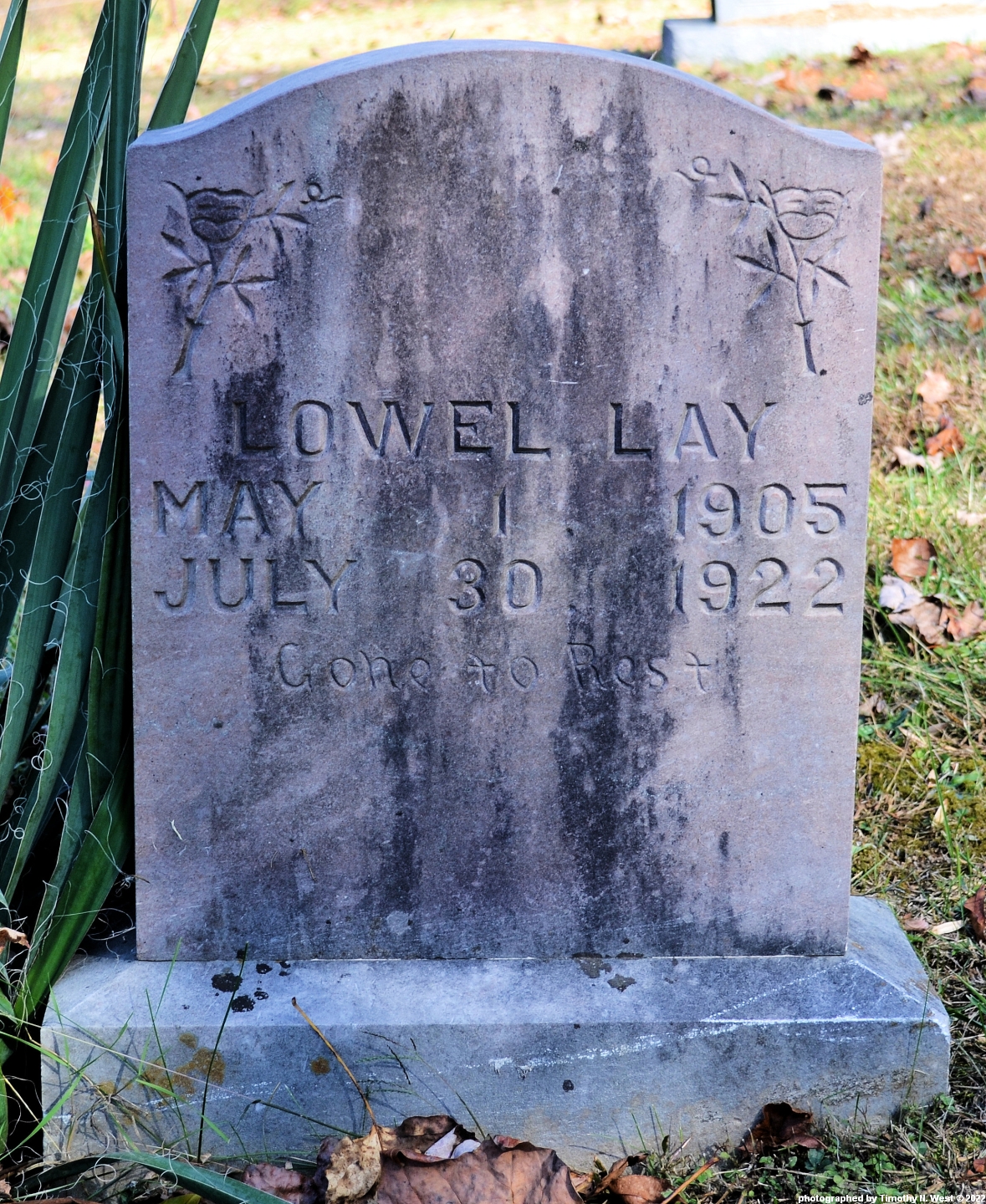 Scott Co, TN - Burial Information