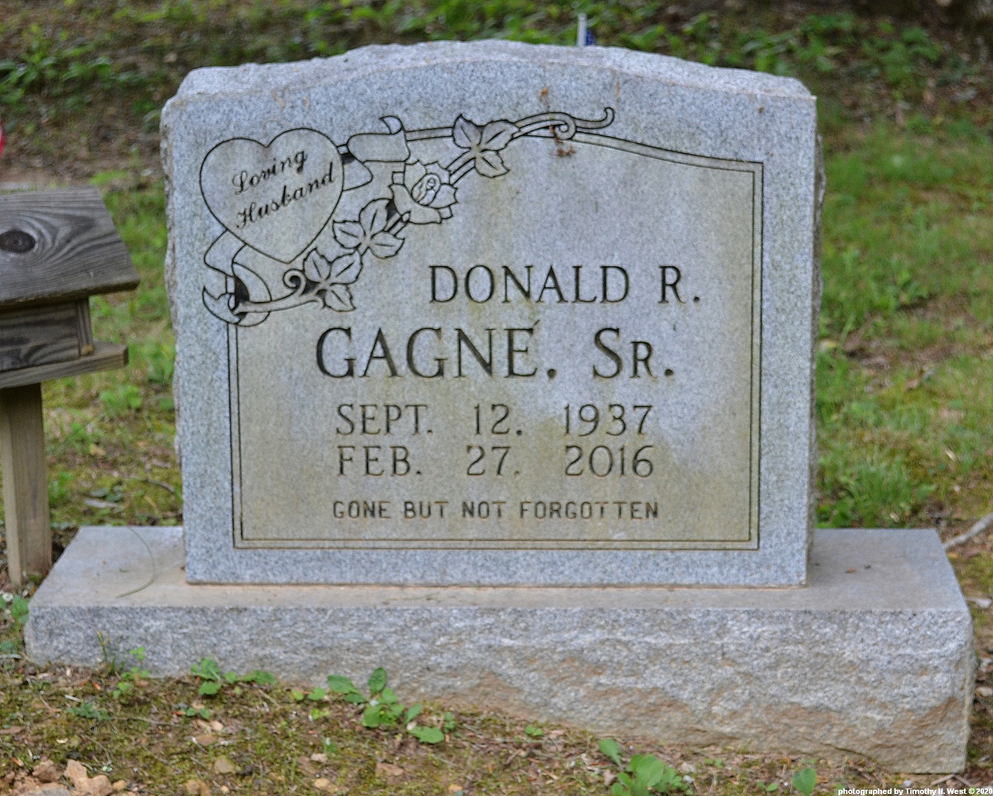 Scott Co, TN - Burial Information