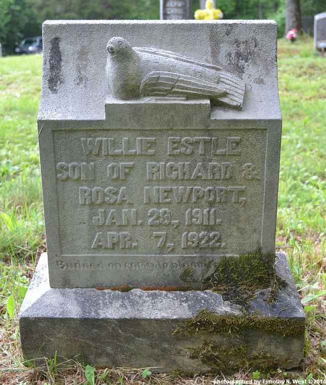 Scott Co, TN - Burial Information