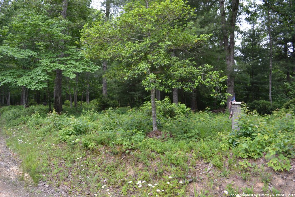 Scott Co, TN - Pemberton Cemetery at Brimstone