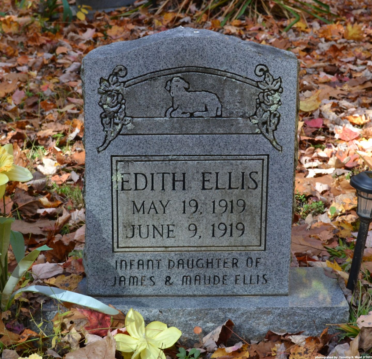 Scott Co, TN - Burial Information