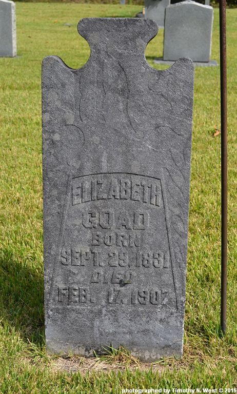 Scott Co, TN - Burial Information