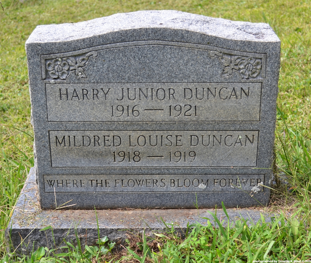 Scott Co, TN - Burial Information