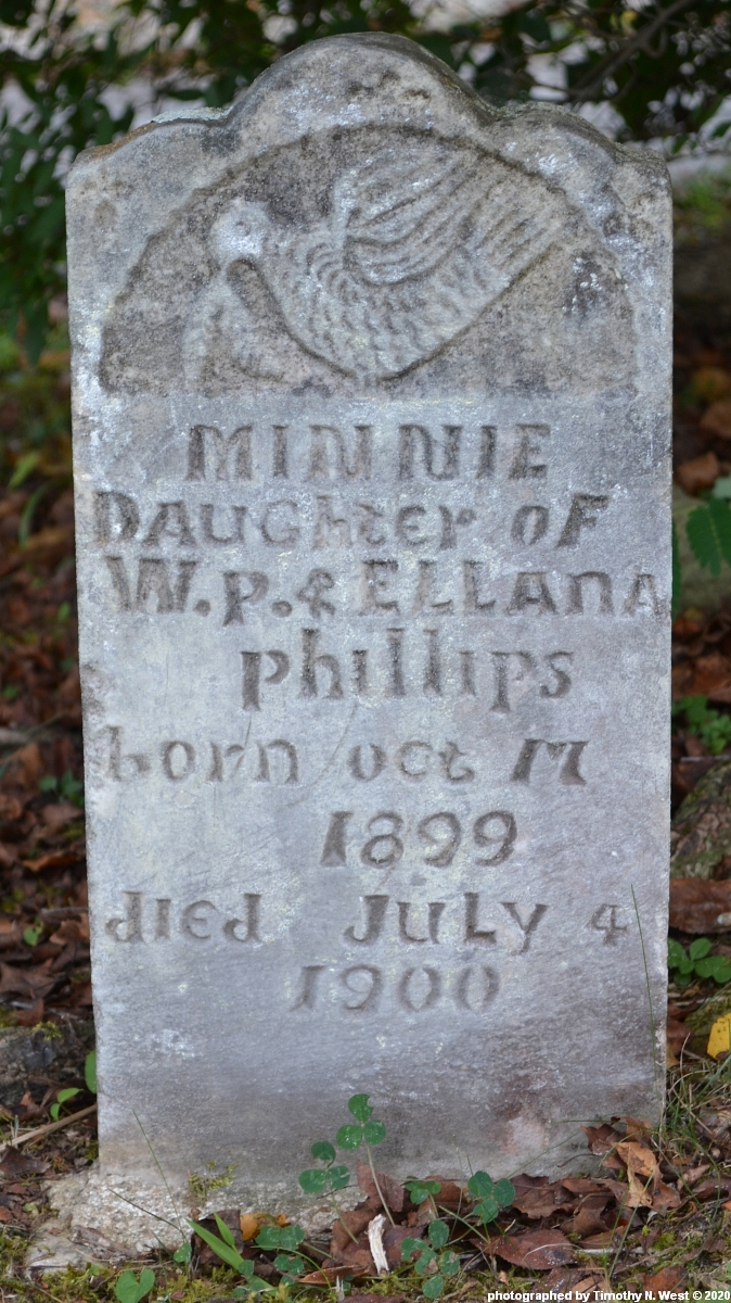 Scott Co, TN - Burial Information