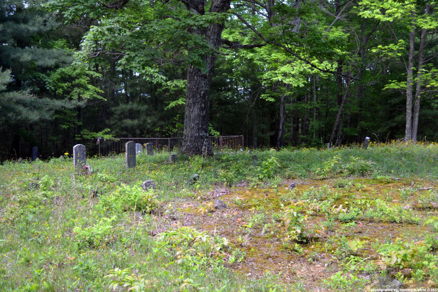Scott Co, TN - Rob Sexton Cemetery at Brimstone