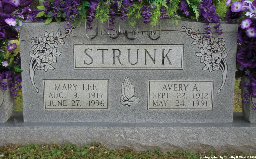 Scott Co, TN - Burial Information