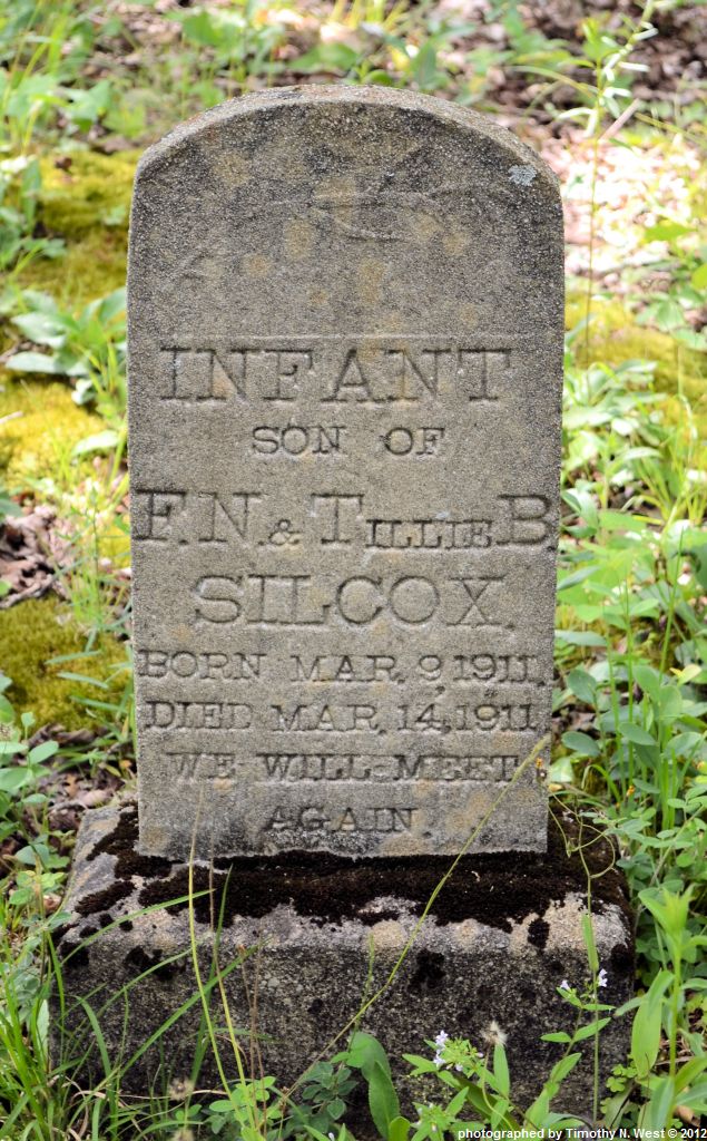 Scott Co, TN - Burial Information