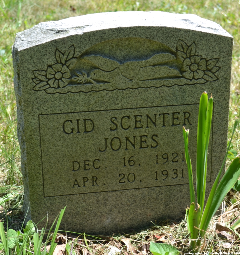 Scott Co, TN - Burial Information