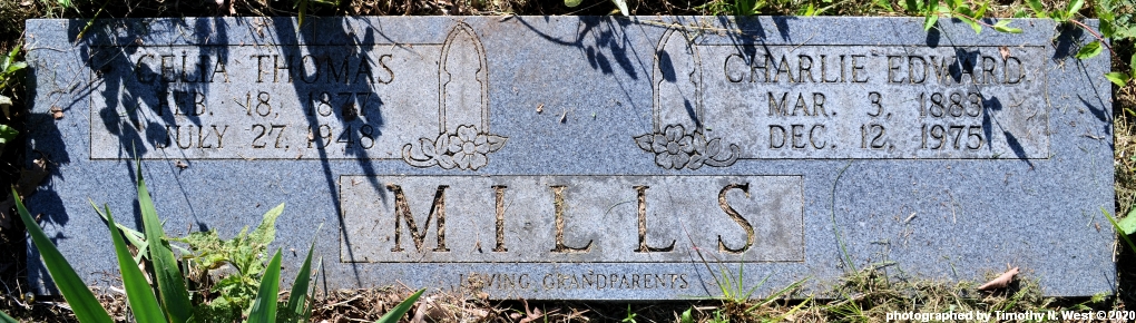 Scott Co, TN - Burial Information