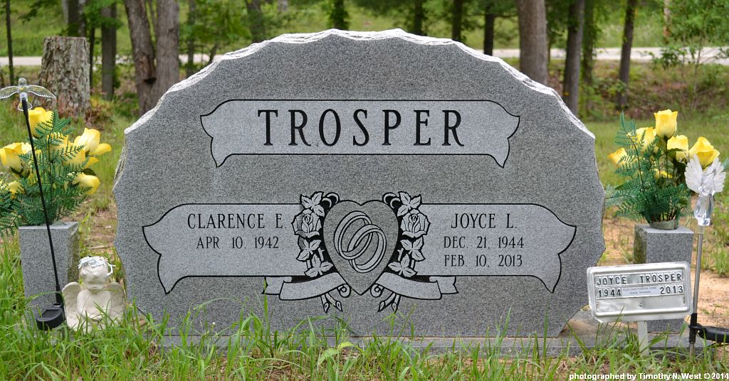 Scott Co, TN - Burial Information