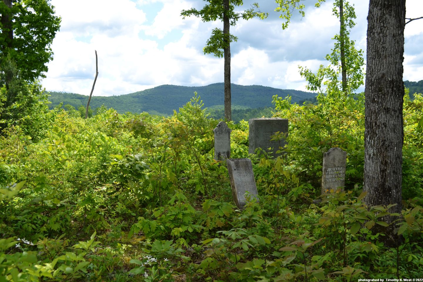 Scott Co, TN - York Cemetery at Cordell